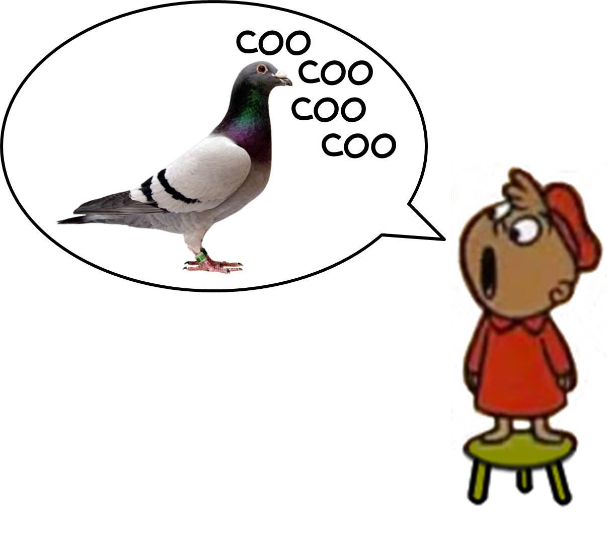 Uncle Fun and Sparky Land: August 2013