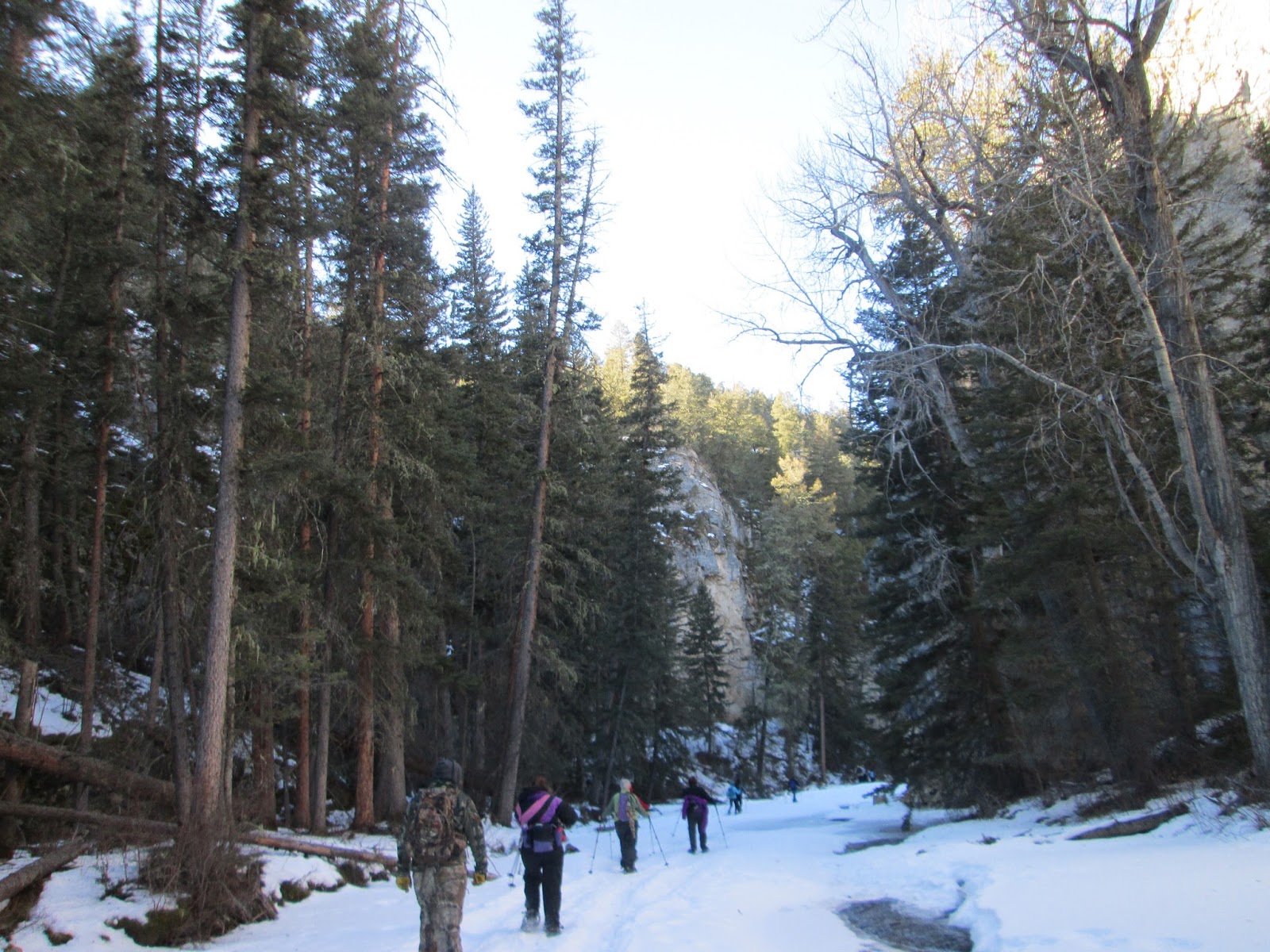 Out there with Tom: Middle Fork Judith River canyon in winter