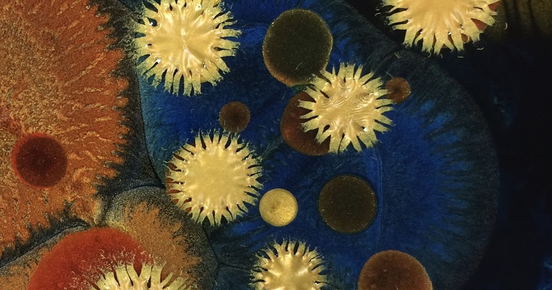 Jeanne Rhea: Preparing for Fall Shows!