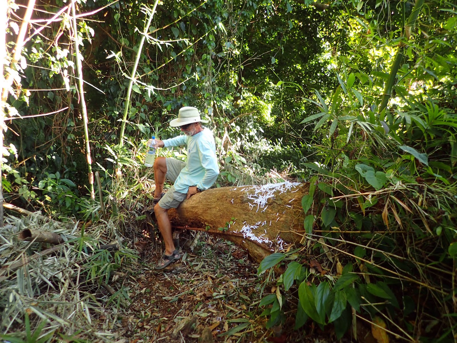 Things we did today...: 2017