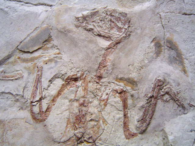 Propnomicon: August 2011