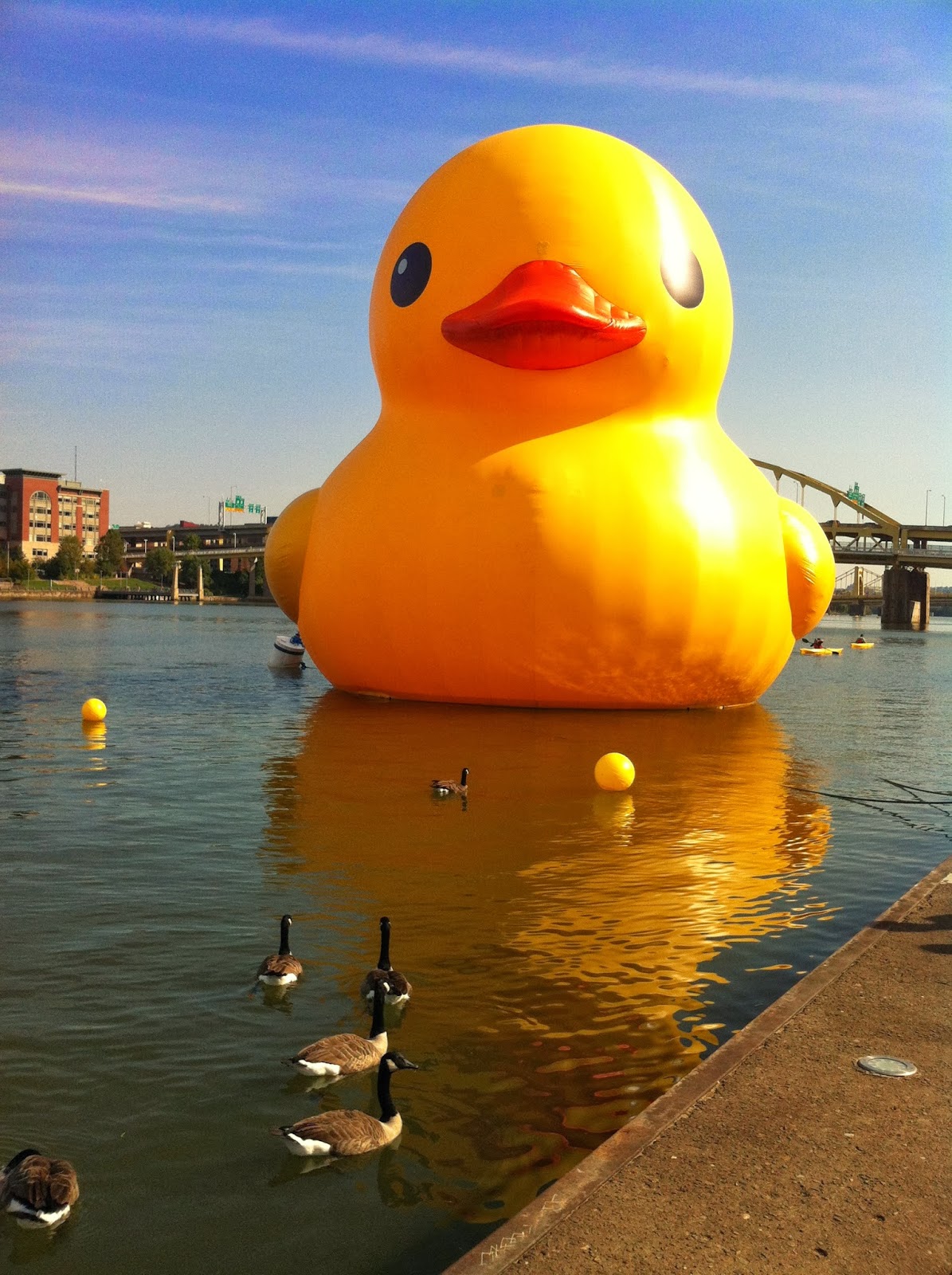 The Lizardskin Girl: Pittsburgh Isn't Boring: The Rubber Duck