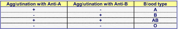 medical analysis laboratory: blood groups types explained and test ...