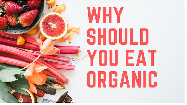 Top Reasons Why You Should Settle with Organic Foods | HFM