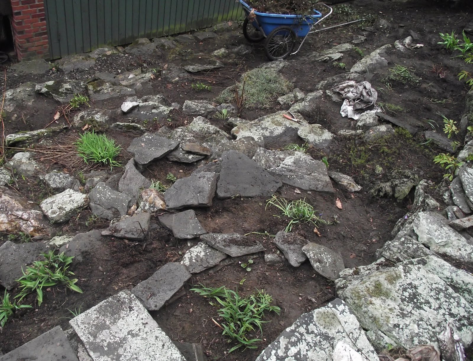 Serendipity Chic Design: My MESSY yard~perennial gardens