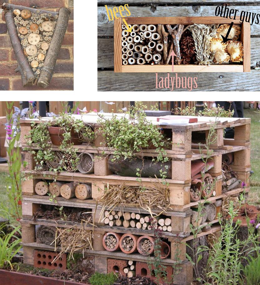 HOTELES PARA INSECTOS