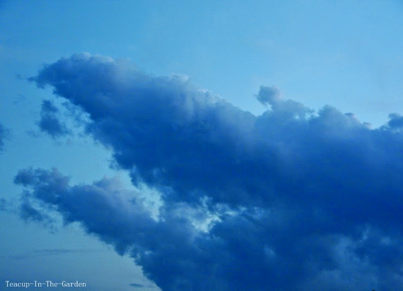 Teacup-In-The-Garden: himmelblau mit wolken