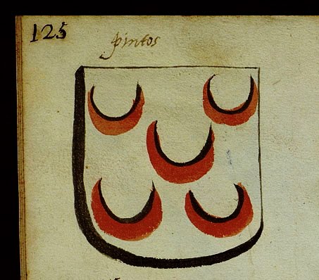 A queda da TORRE DE CHÃ - Solar medieval da família PINTO: ORIGEM DO ...