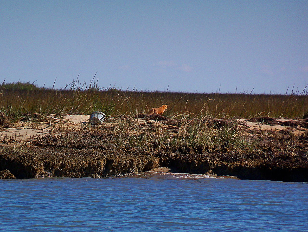 A View from the Beach: More Than Everything You Wanted to Know About ...