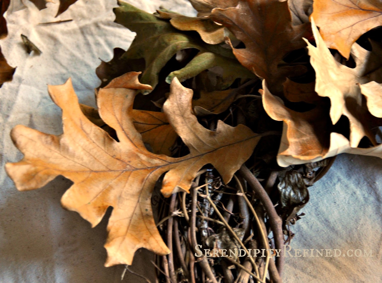 Serendipity Refined Blog: Easy Fall DIY Craft: Rustic Oak Leaf Wreath