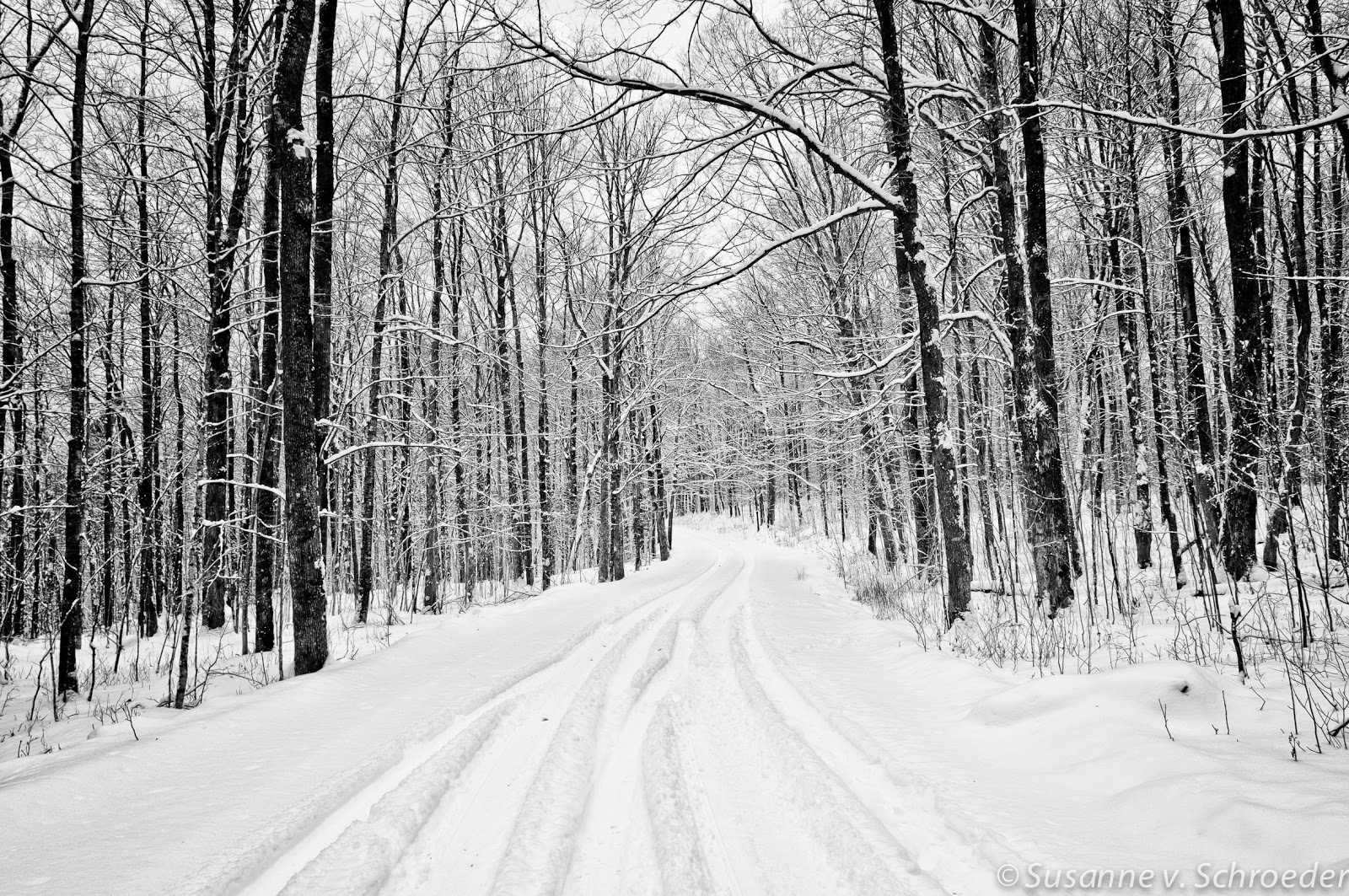 Soul Centered Photography: Black and White Winter Photography