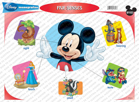 Inglés con la "Seño-Teacher Silvia": Tema 3. Los sentidos.