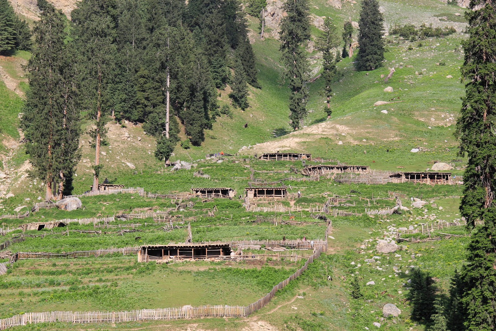 ExploreEPakistan: Beautiful Village on a way to Jahaz Banda Kumrat ...