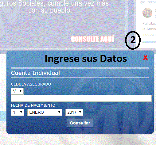 Ciudadanos: Pasos para Descargar la Cuenta Individual del Seguro Social en pdf