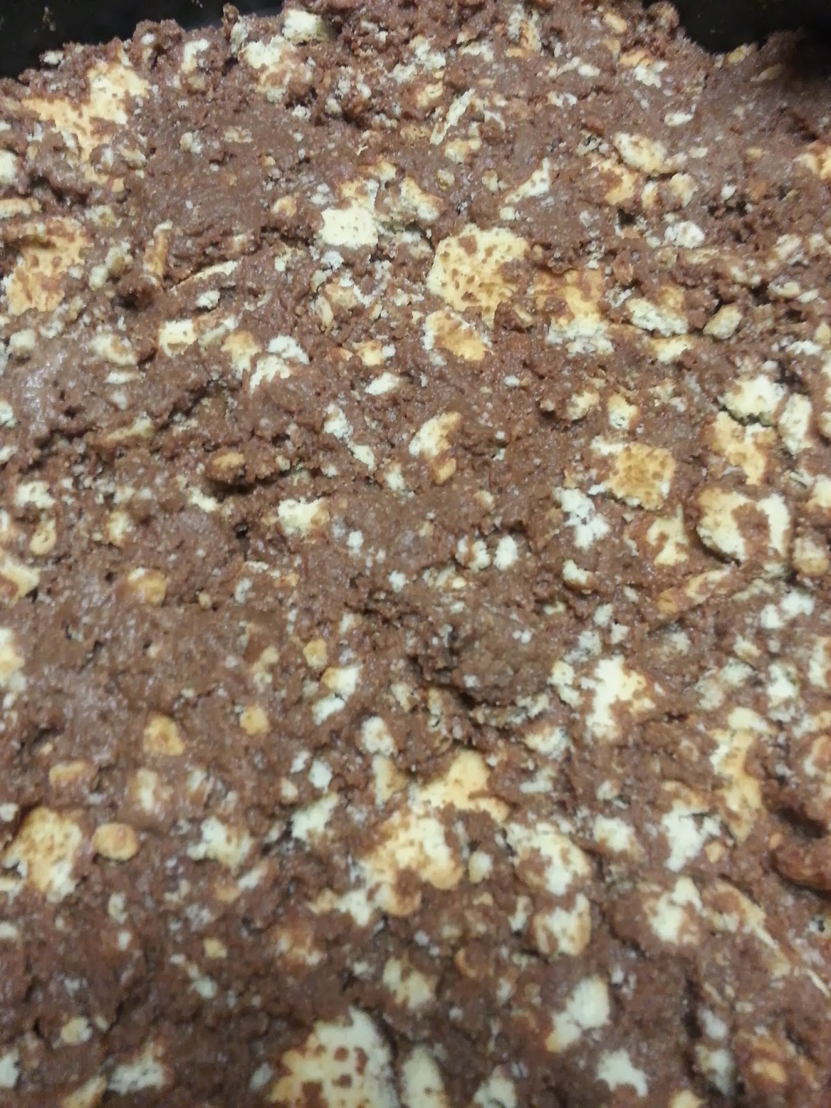 tutkunun güncesi: mozaik pasta (mosaic cake)