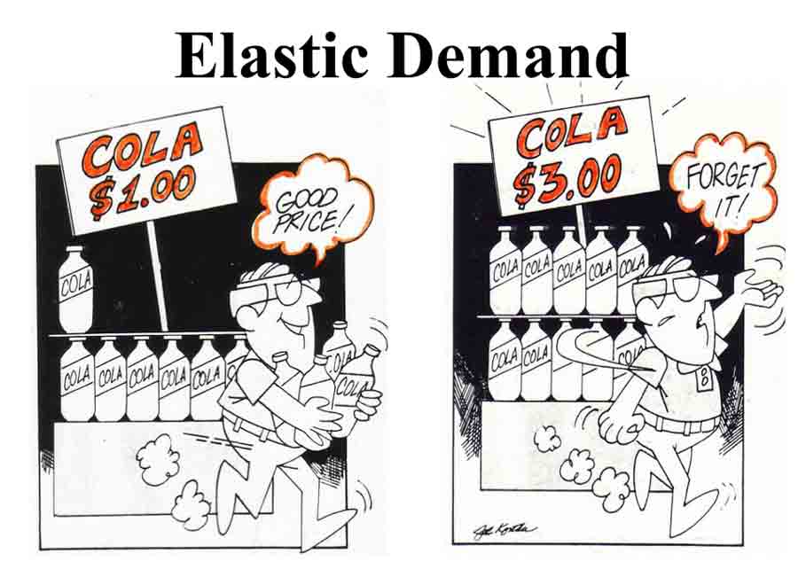 Sapere Aude Proceso Econ mico II Demanda Y Elasticidad sapere-aude-proceso-econ-mico-ii-demanda-y-elasticidad