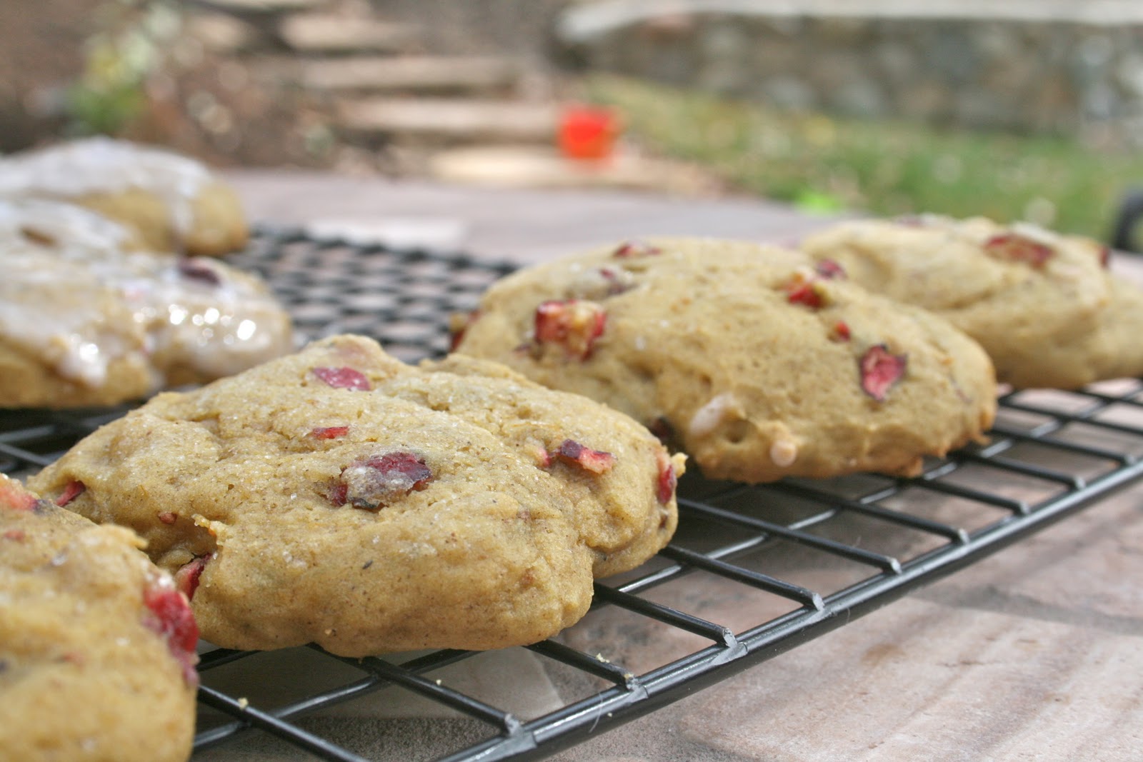 Bake - a - holic: Pumpkin Cranberry Cookies