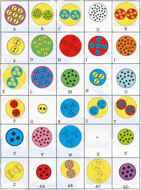 Sunya: Jugando con los primos