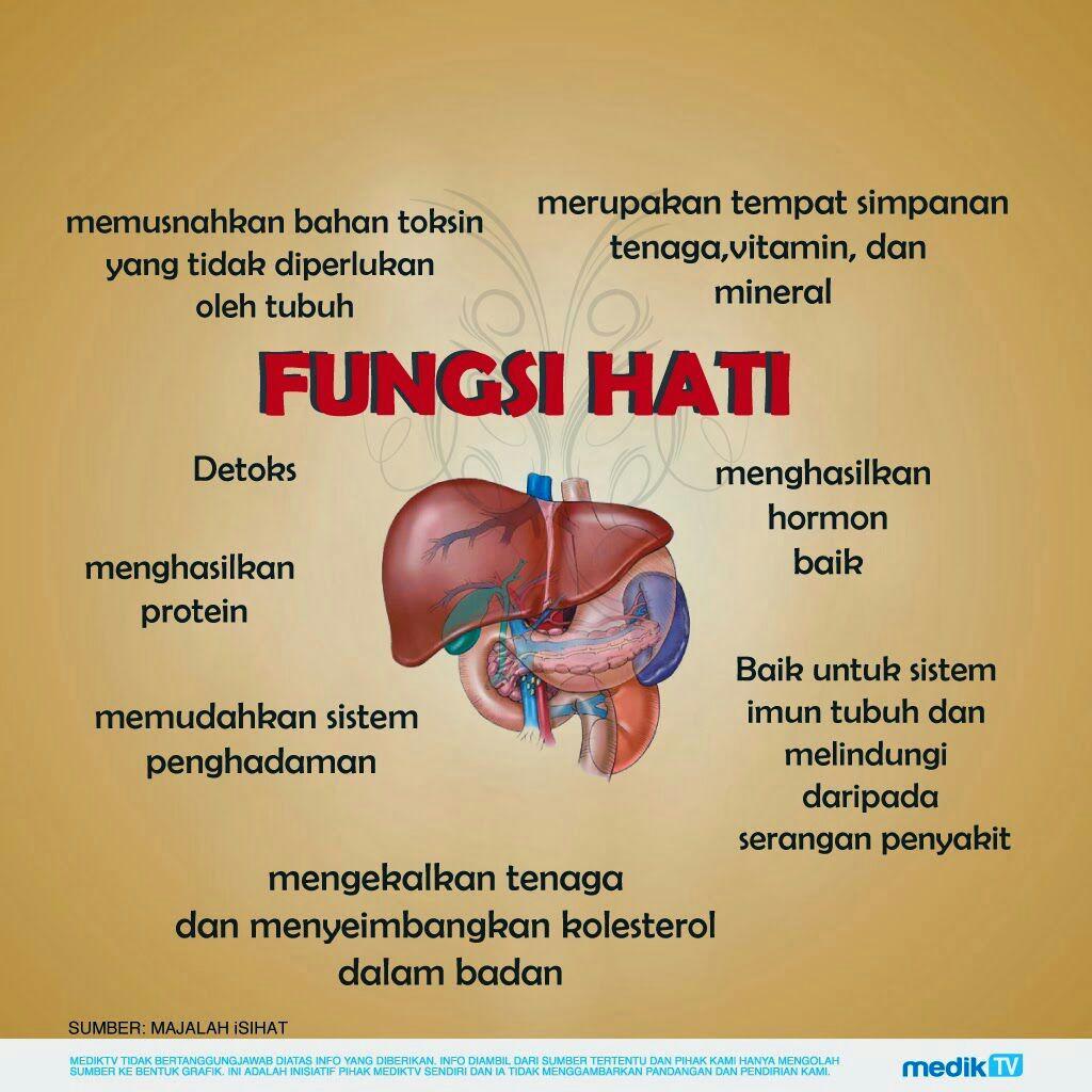 Amalkan Gaya Hidup Sihat Untuk Kesihatan Yang Lebih Baik: Pentingnya ...