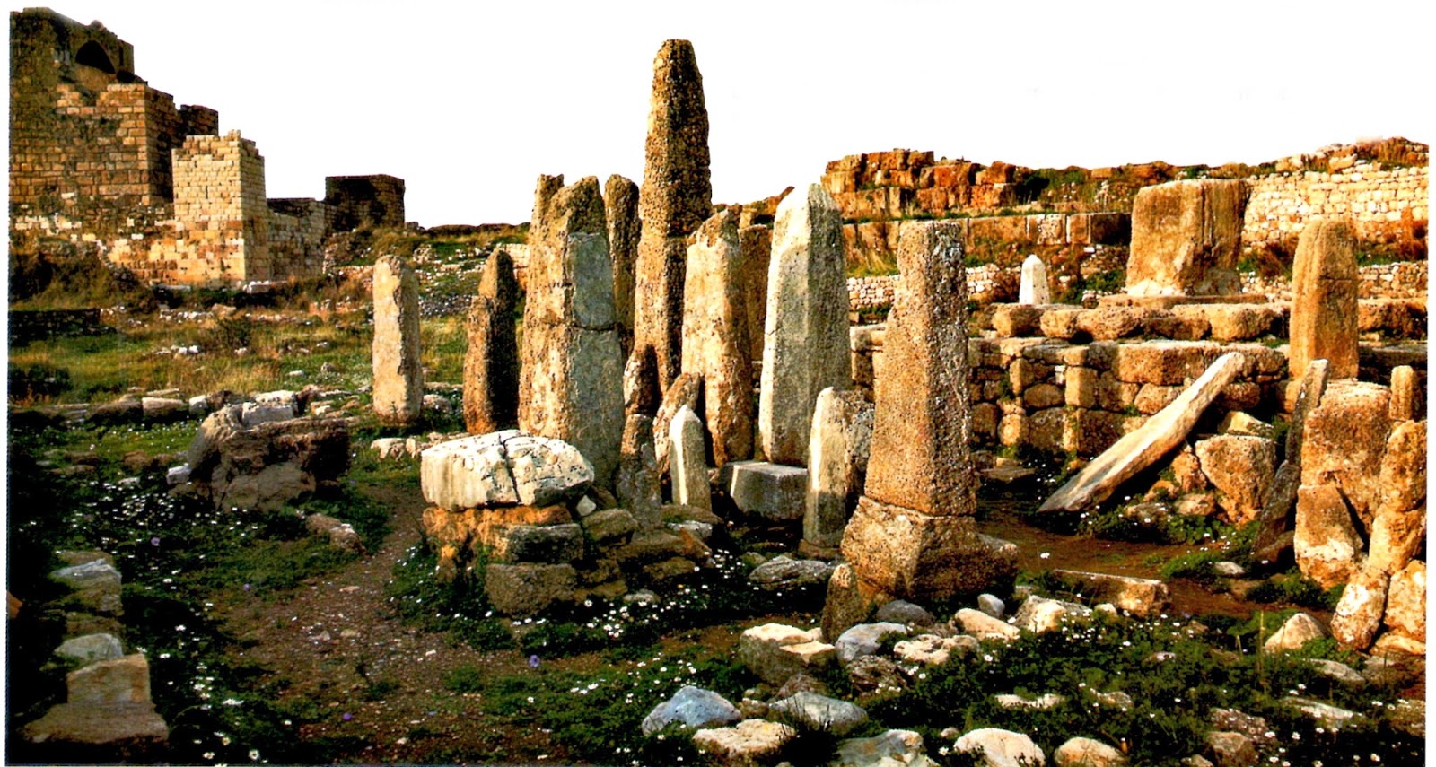 Los fenicios 1500-100 a.C.