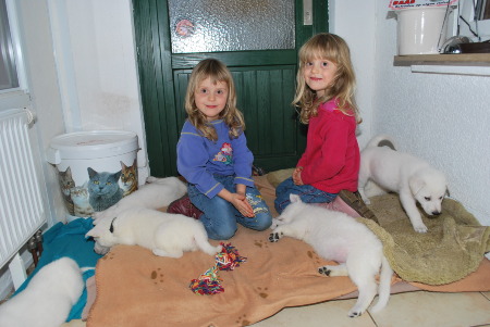 Hallo Freunde: Música Alemã - Deutsche Musik: Die Twinnies