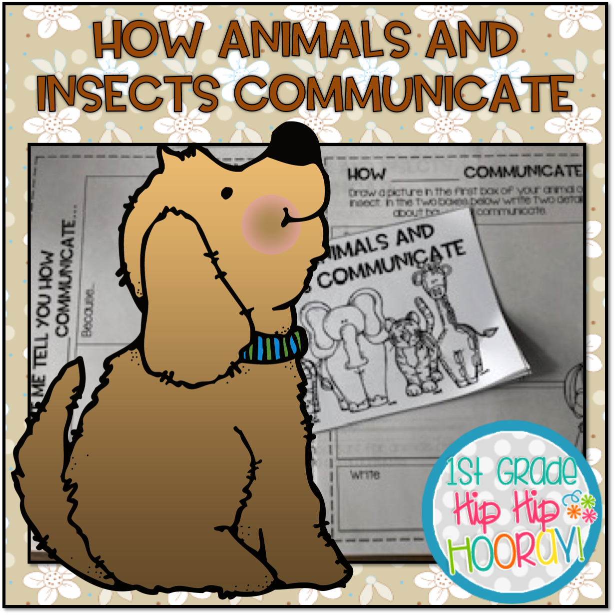 1st Grade Hip Hip Hooray!: How Animals and Insects Communicate! FREEBIE!!