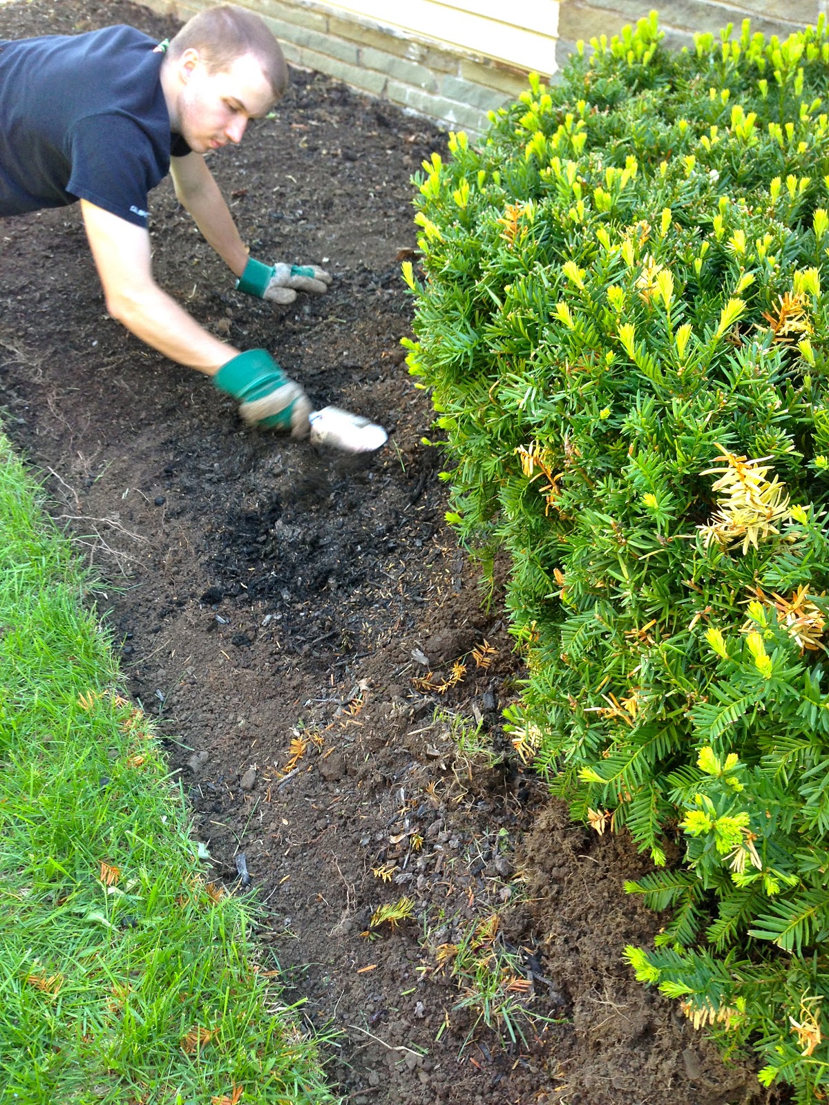 Eclectified Living: How to Edge a Garden Bed