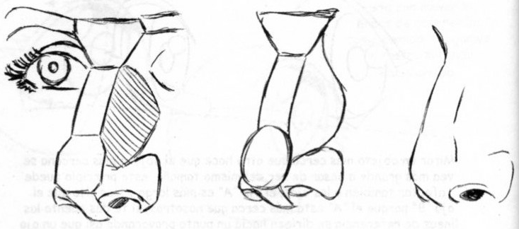 Elementos del Rostro/ Parte 3