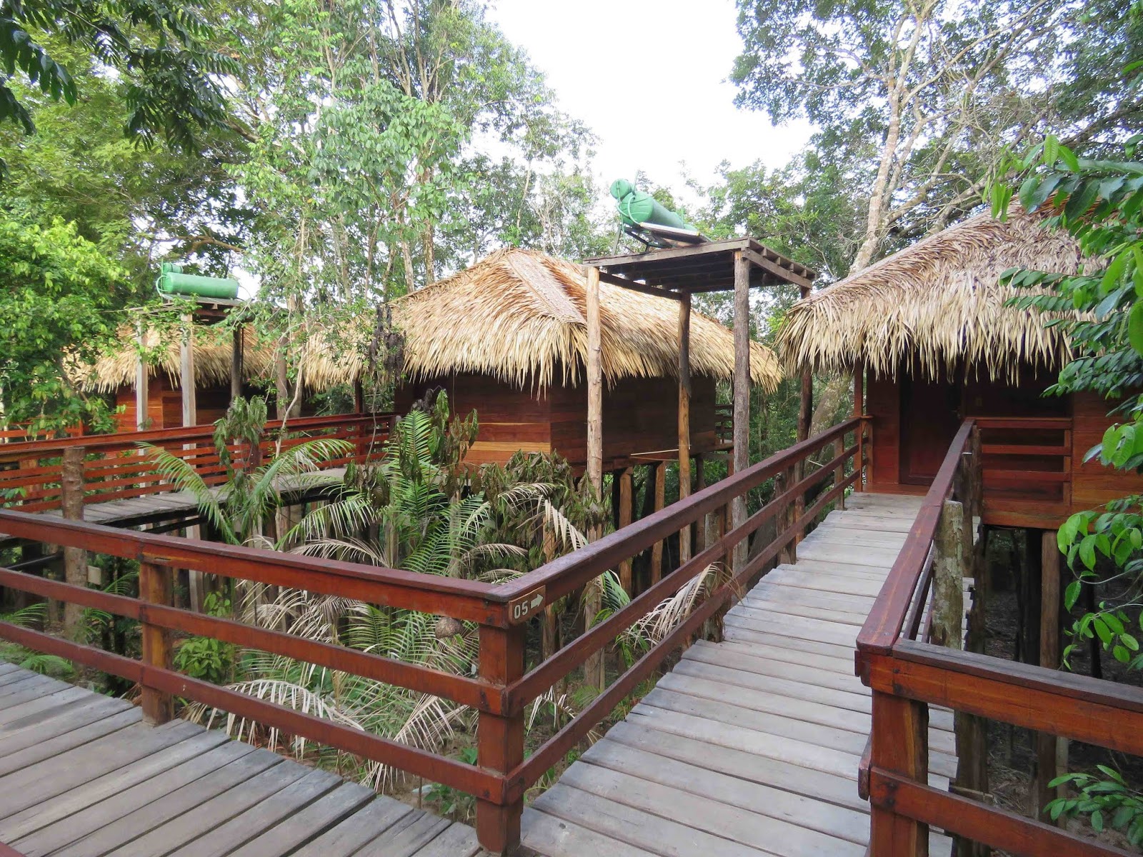 Juma Amazon Lodge apresenta novidade! | Apaixonados por Viagens ...