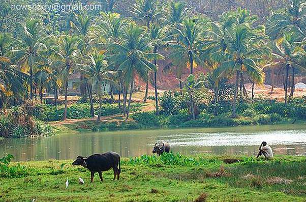 Deeksha Shetty: History of Tulunadu
