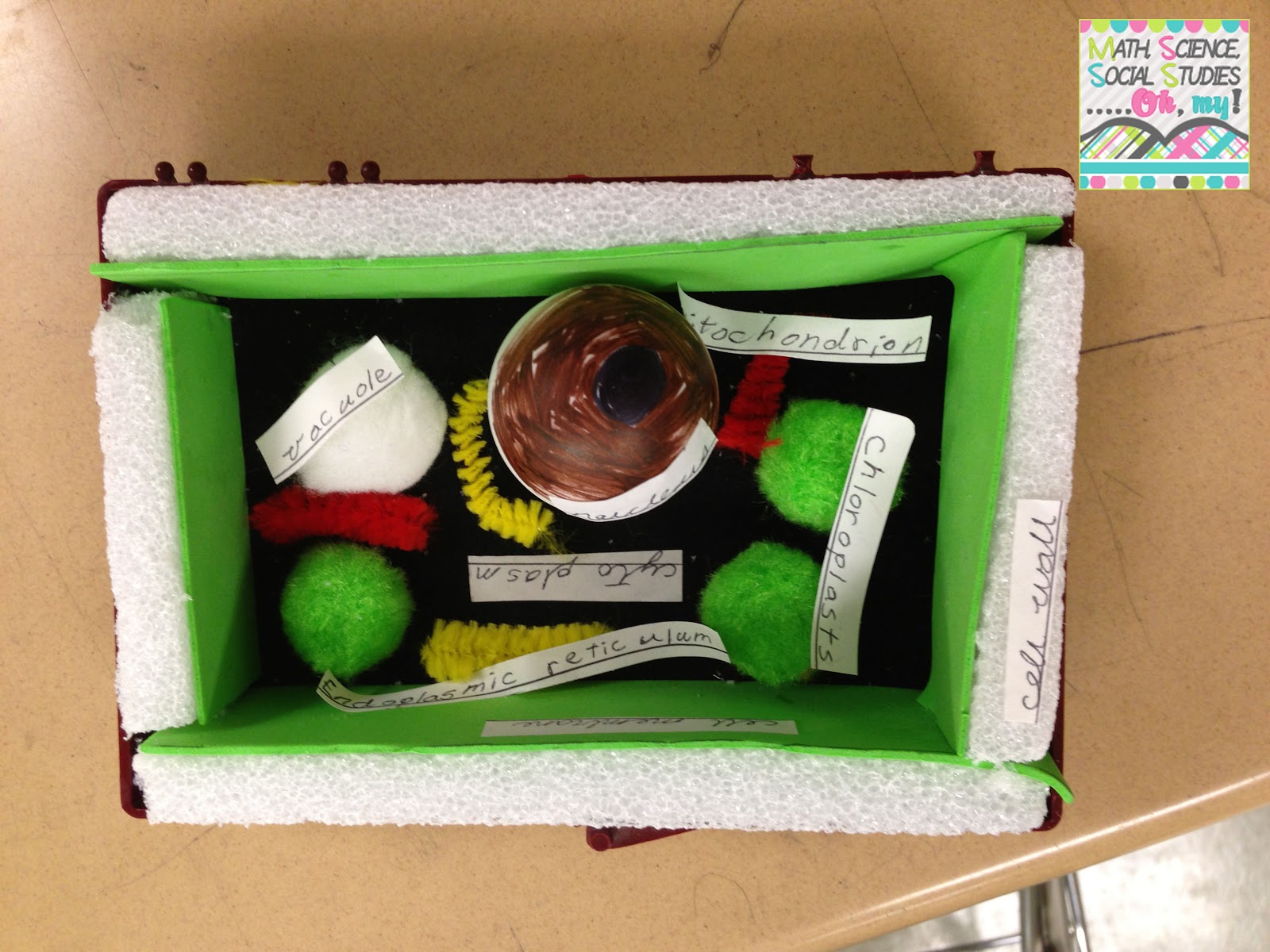 3D Cell Projects | Technically Speaking with Amy