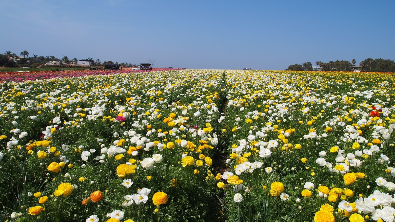 Life is Good: Musim Semi 2013