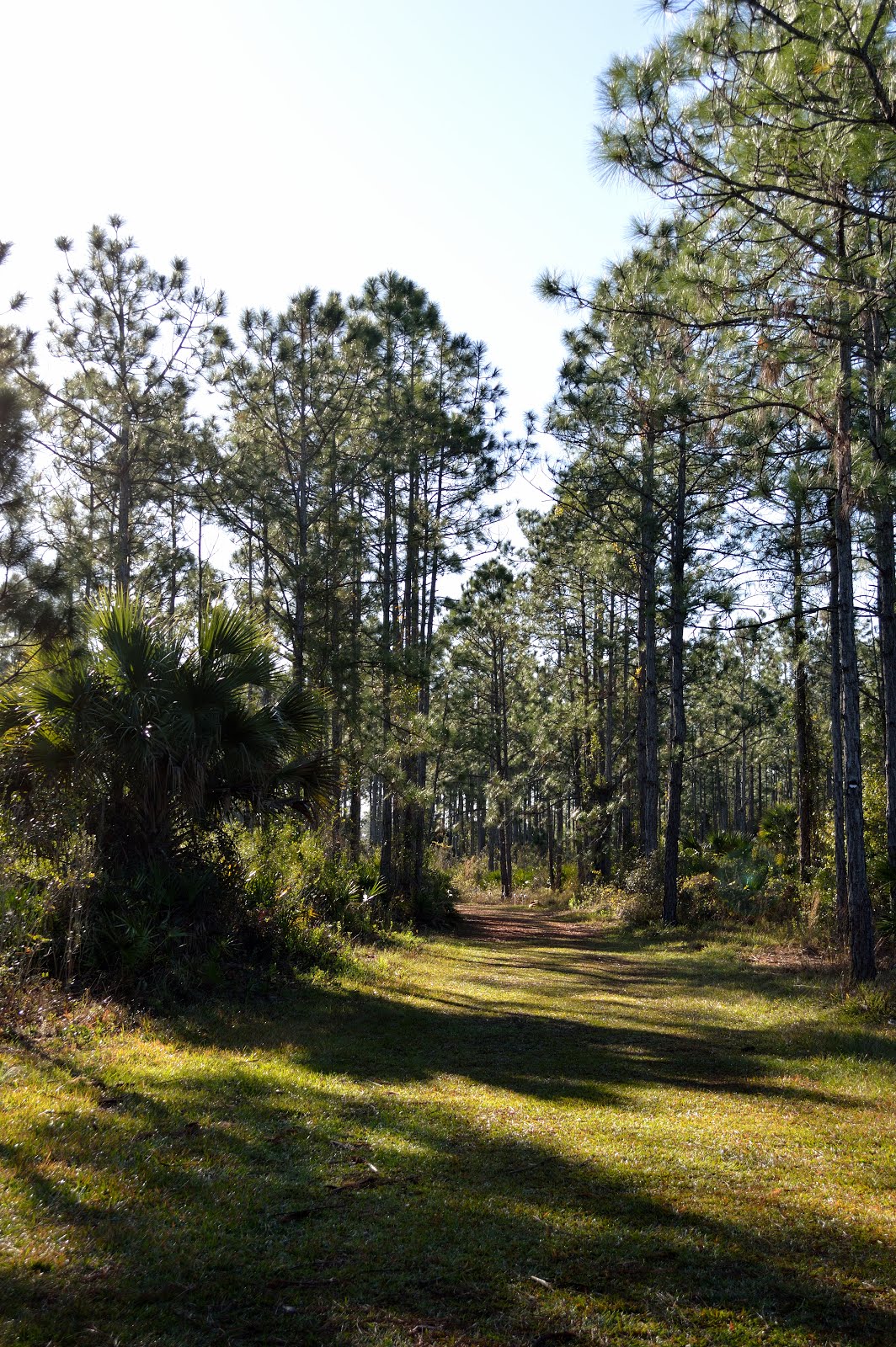 No Bad Days RVing: CREW Marsh Trail