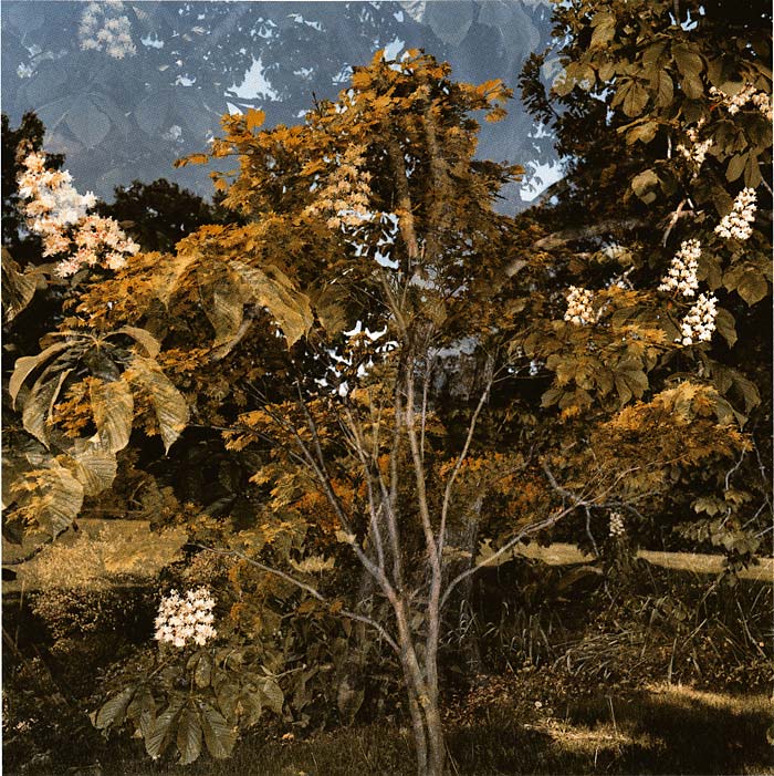 B: Q & A with Stephen A. Scheer, Part 2