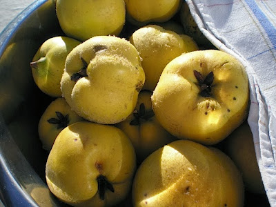 Prinsessornas kokbok: Kvittengelé och kvittenlikör