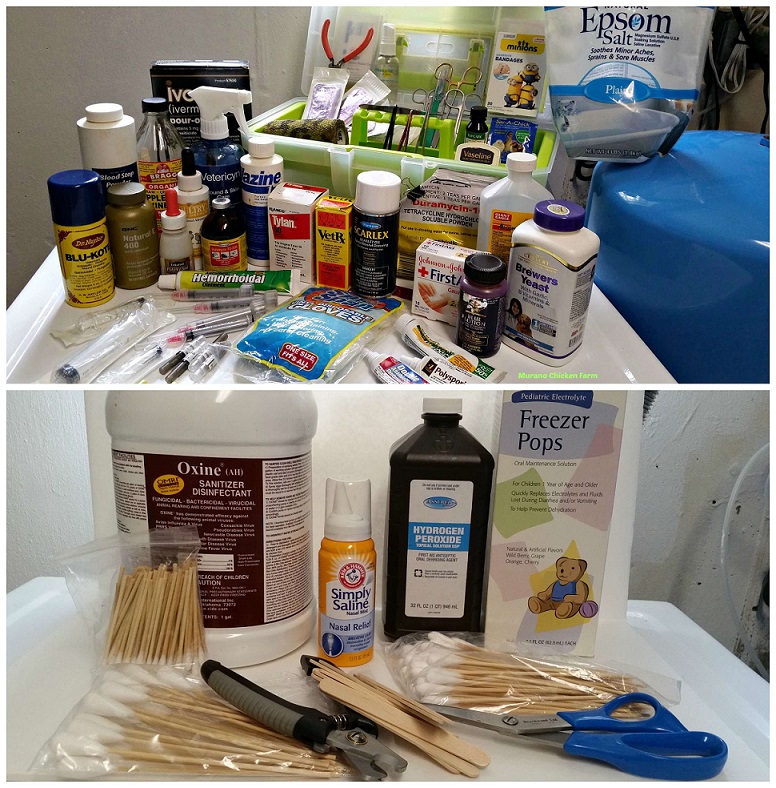 What is in your chicken emergency kit? (printable checklist!) - Murano ...