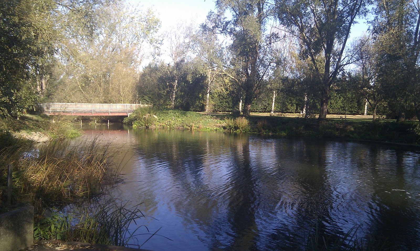 My Adventures!!: Walk around Roydon,Essex 18th October 2011