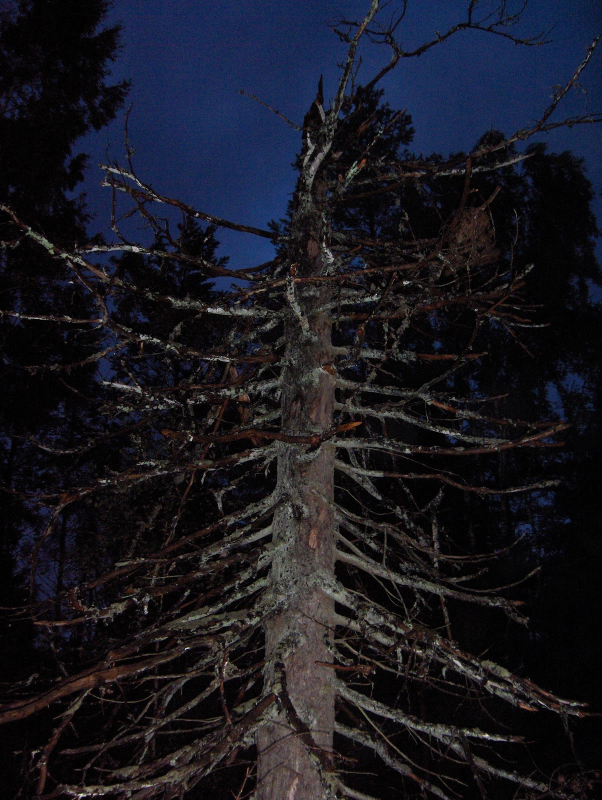 Soolembese rännakud: Pärnakännu rännak 14.09.2011