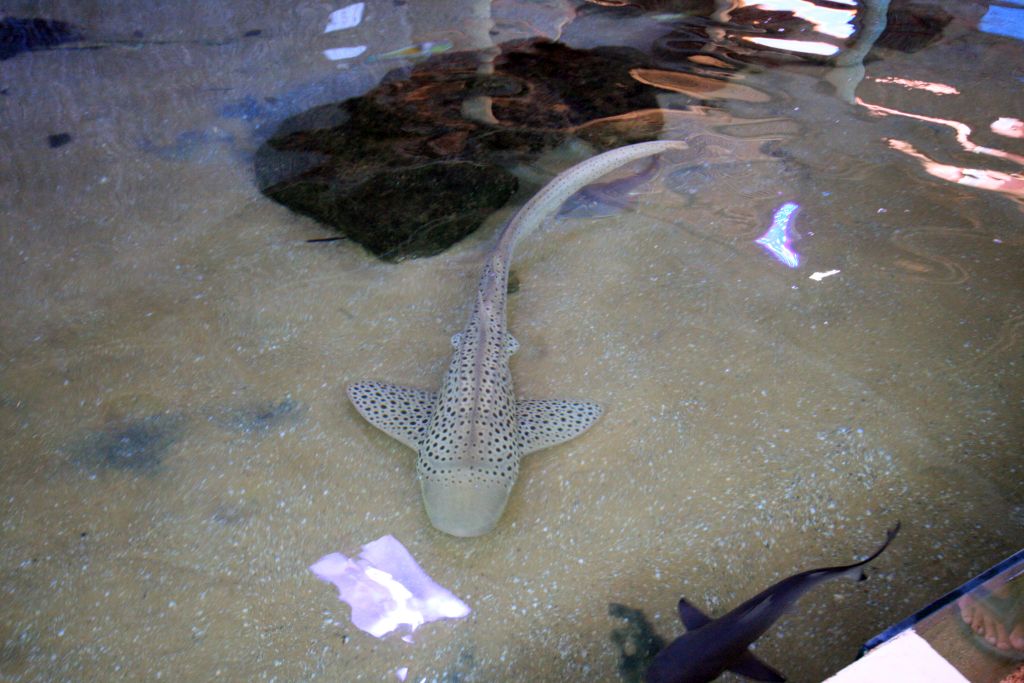 Ut på tur: Kalbarri National Park