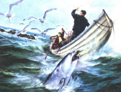 HISTORIAS DE LA VIDA