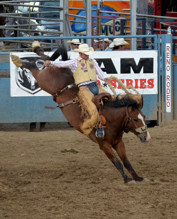 Random Images from a Nightowl: Reno Rodeo June 21, 2011