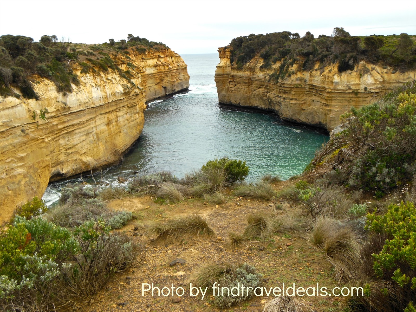 Carl's Cruise Capers and Travel Tips