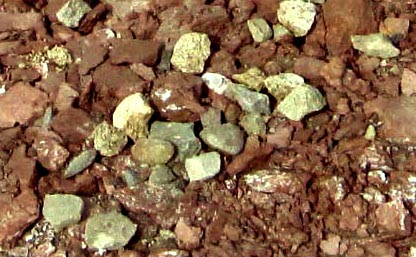 The Marcellus Clay Experiment: 1. Catskill Red Shale