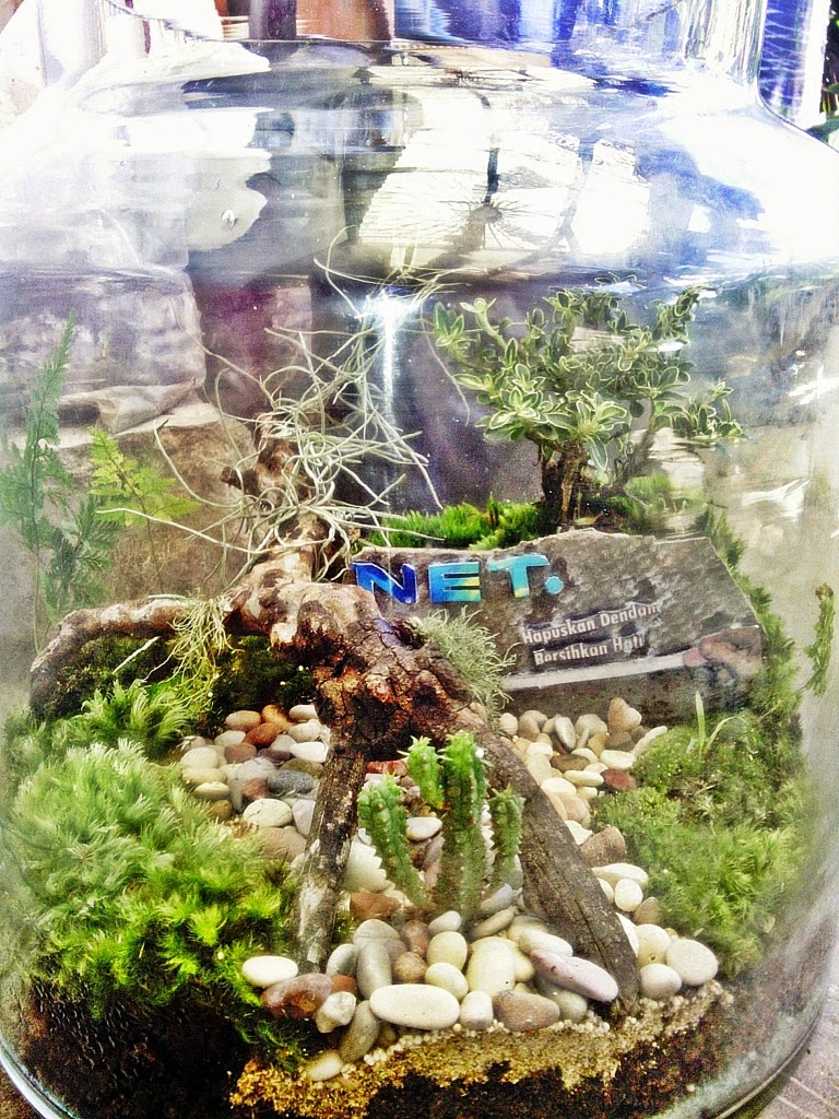 Terrarium Indonesia: PENGETAHUAN DASAR TERRARIUM