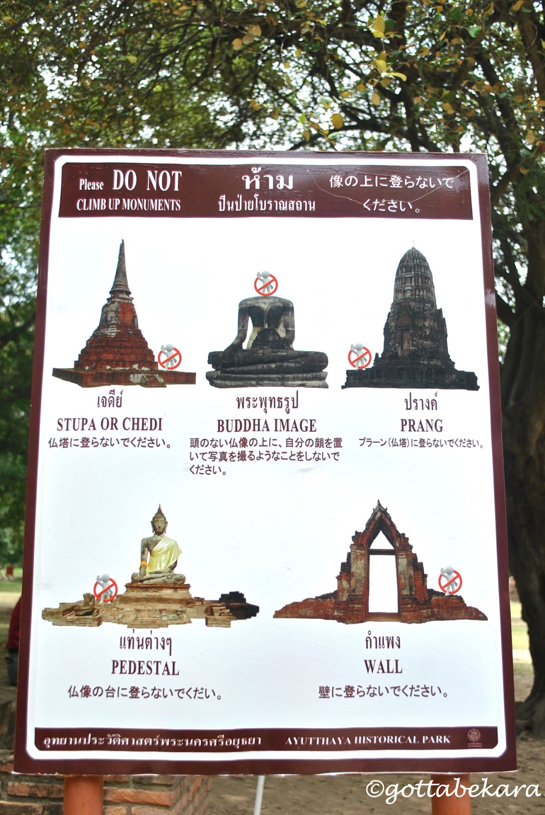 Temple Housing Rules at Barbara Ridgley blog