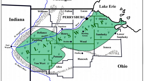 Heterick Memorial Library News: March Display: The Great Black Swamp