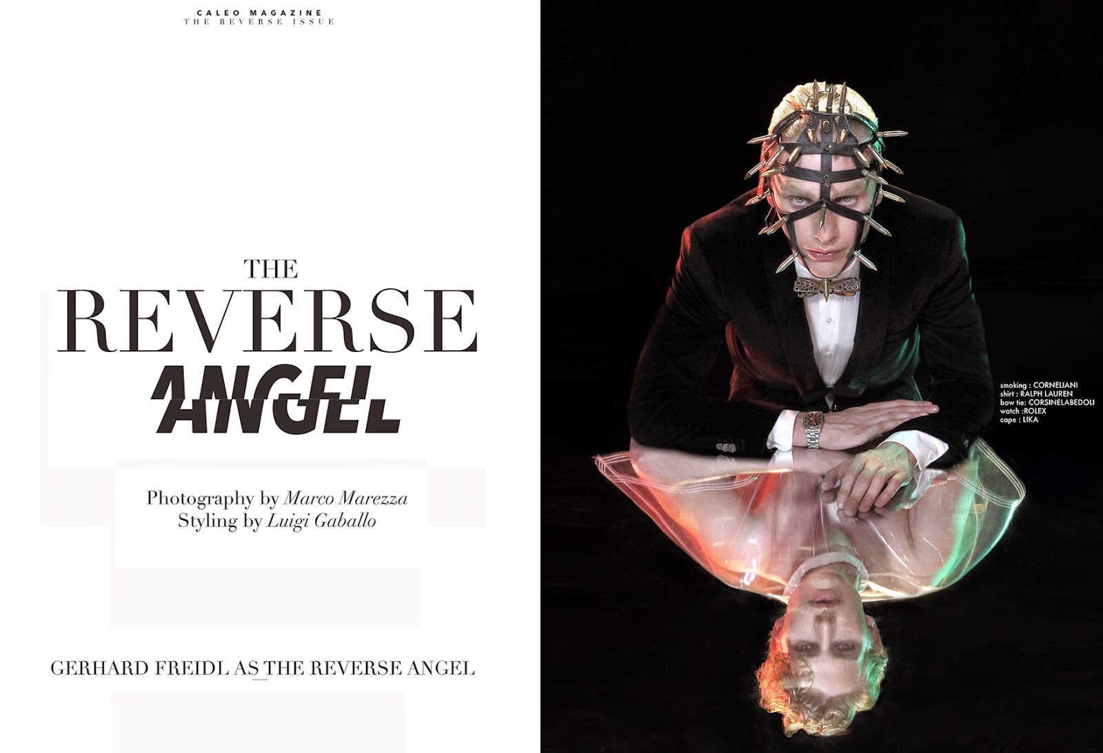 TheTwelfthKnight: [ Gerhard Freidl in “The Reverse Angel”]