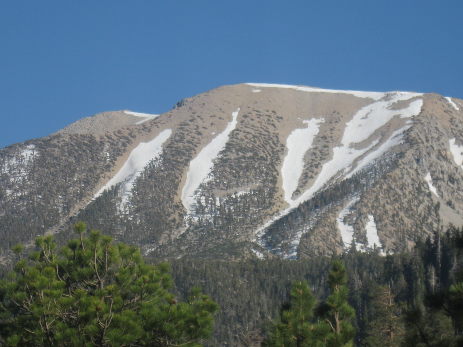 Wildlife in Southern California: Ecosystems