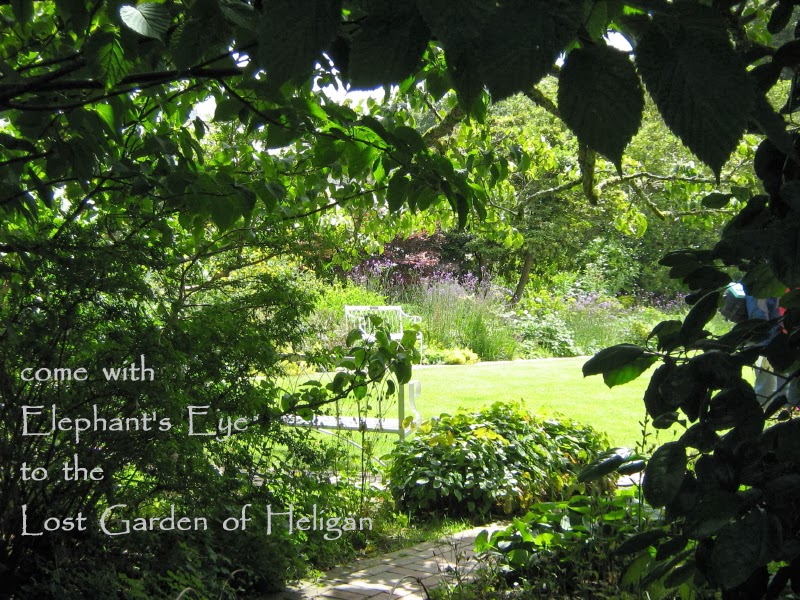 Lost Gardens of Heligan