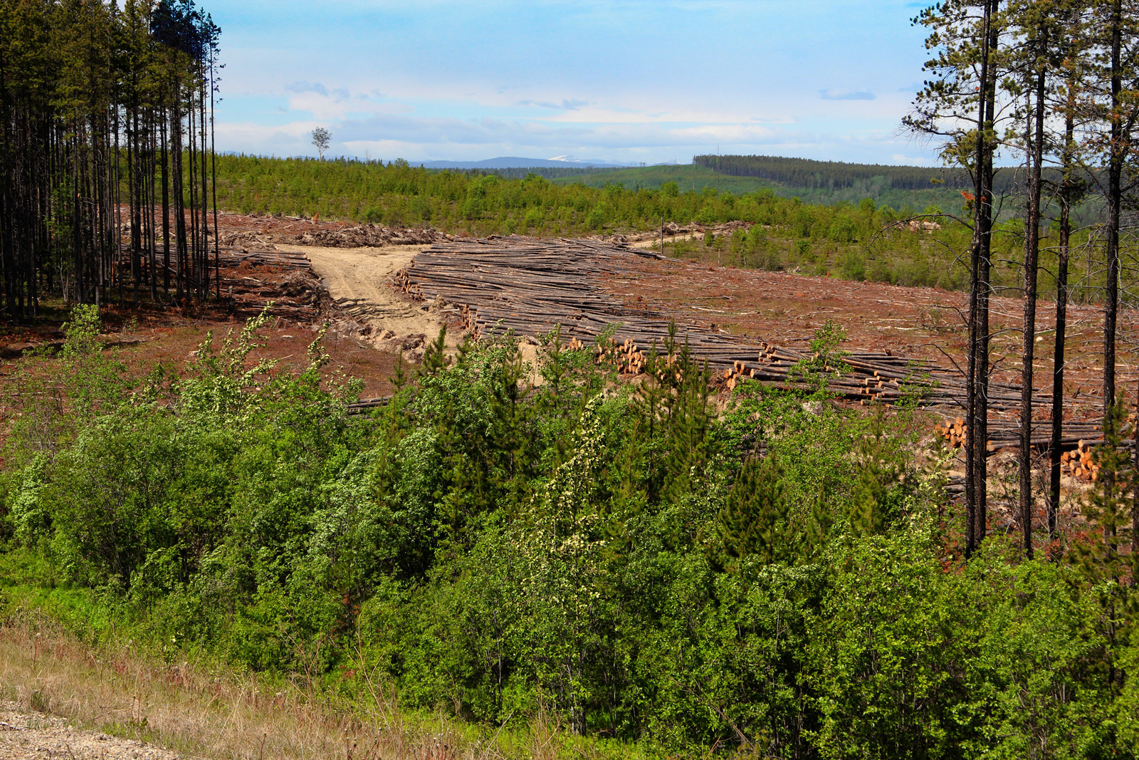 Riding the USA: Day 7 - Hinton, Alberta - Charlie Lake, British Columbia